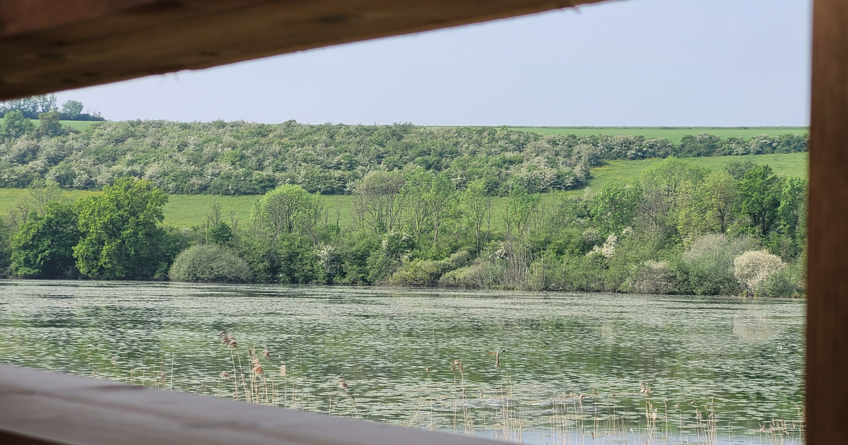 OBSERVER LES OISEAUX | Lac de Bairon